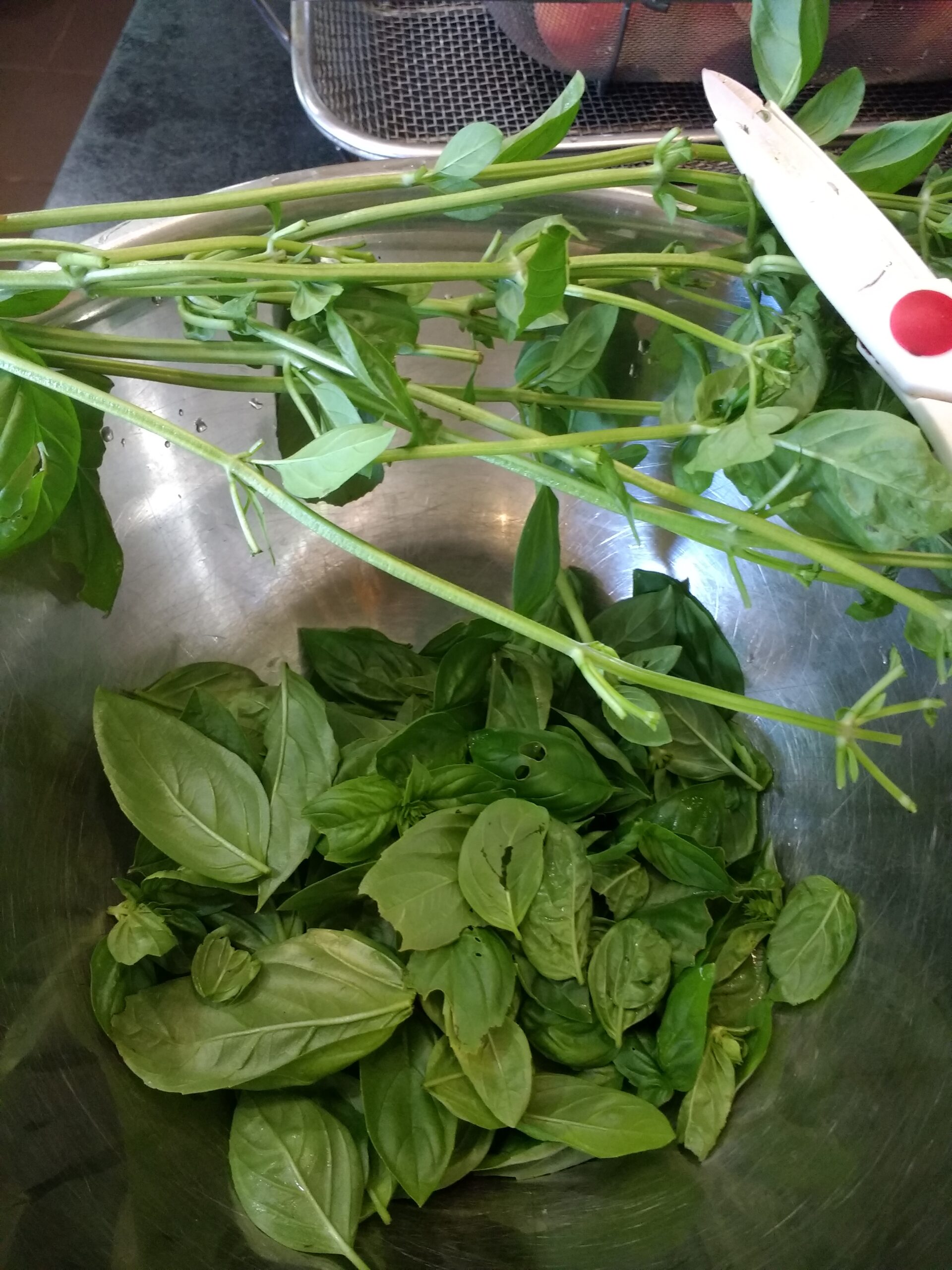 Tis the Season for Leni’s Basil Paste – Indigo House