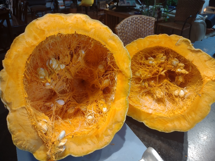 Cooking last fall’s huge Hubbard winter squash – Indigo House